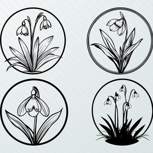 Snowdrop Flower SVG PNG: Floral Silhouette Cut File - Etsy