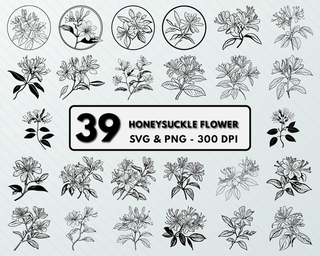 Honeysuckle Flower Svg Png Bundle, Honeysuckle Flower Clipart ...