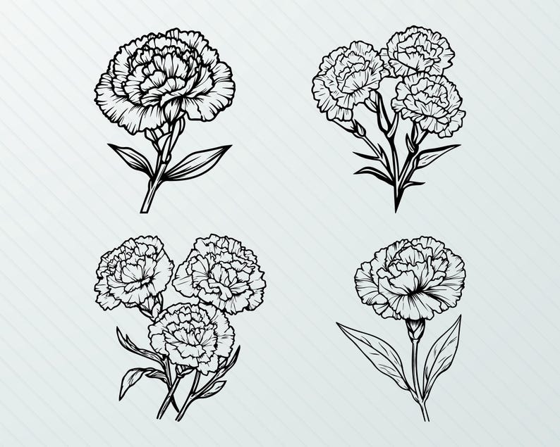 Carnation Flower SVG: Floral Clipart, Vector Cut File - Etsy