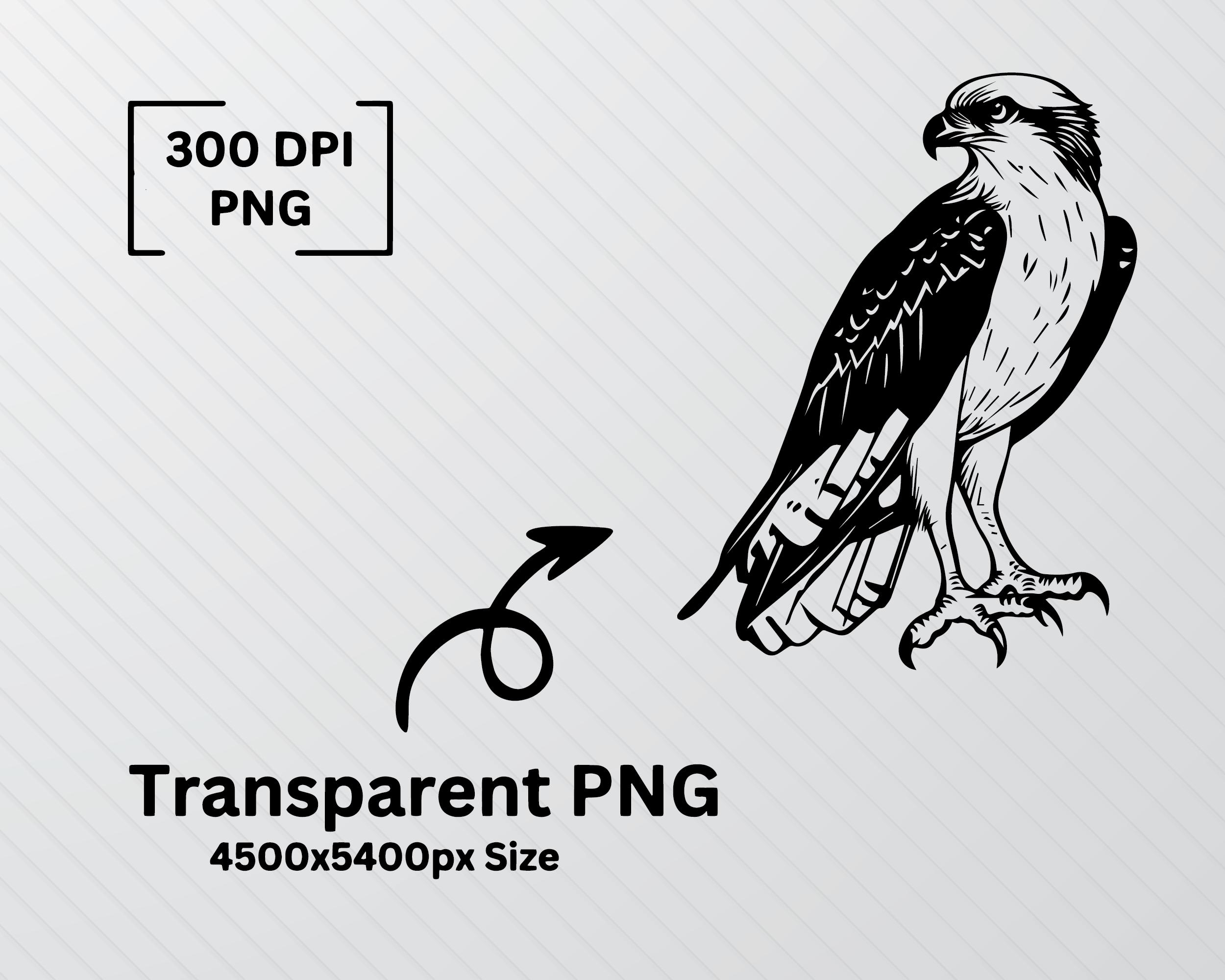 Osprey Silhouette Vector, Osprey Svg Bundle Clipart, Osprey Png File ...