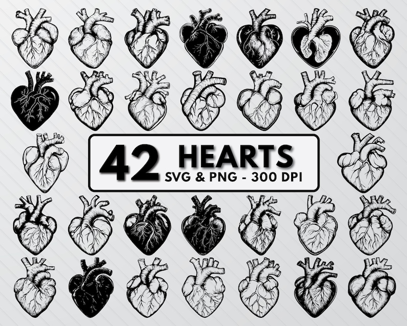 Human Heart Silhouette, Human Hearts Svg Bundle Cut File, Human Heart ...
