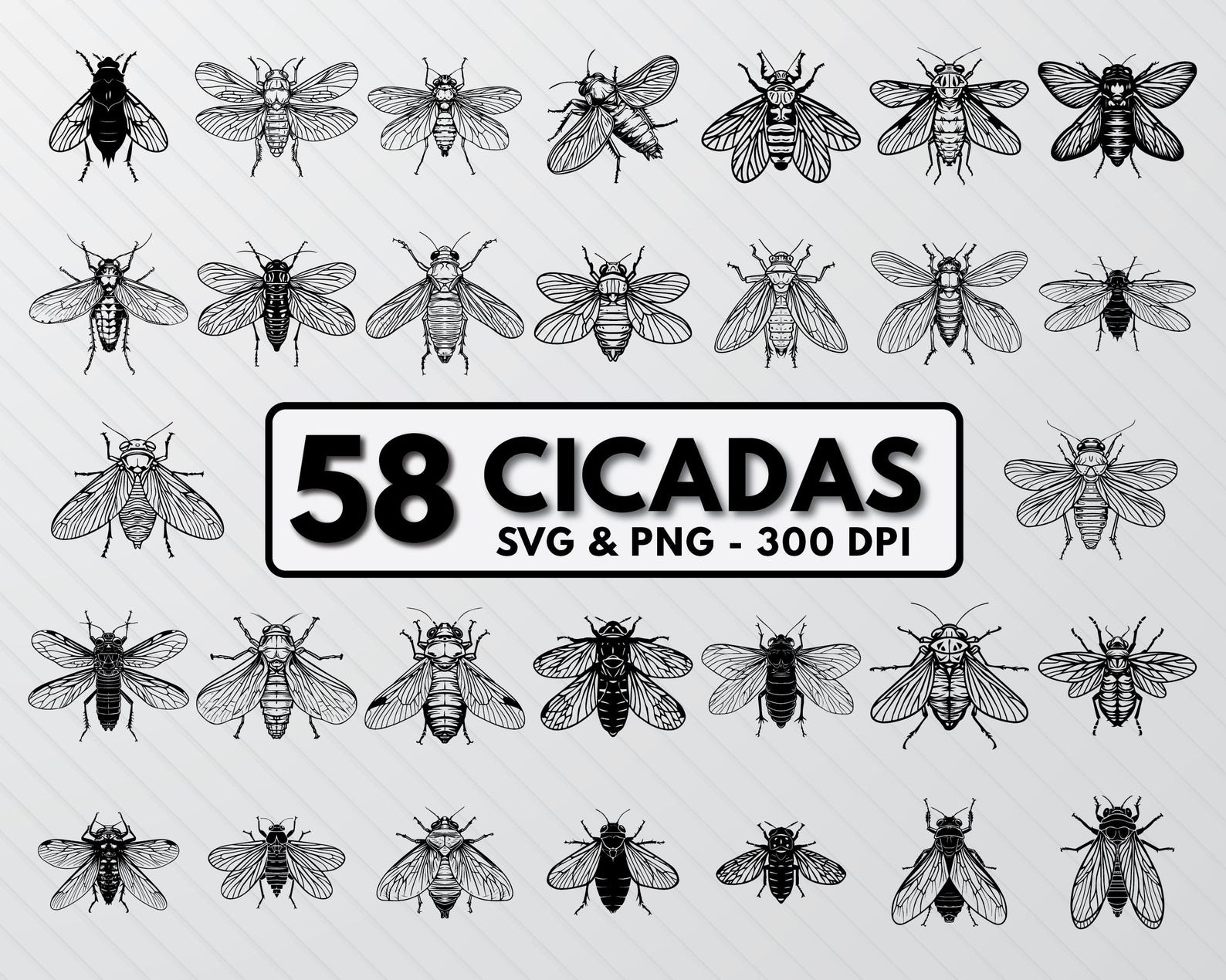 Cicada Silhouette SVG Bundle: Insect Clipart, Decal Vector (digital ...