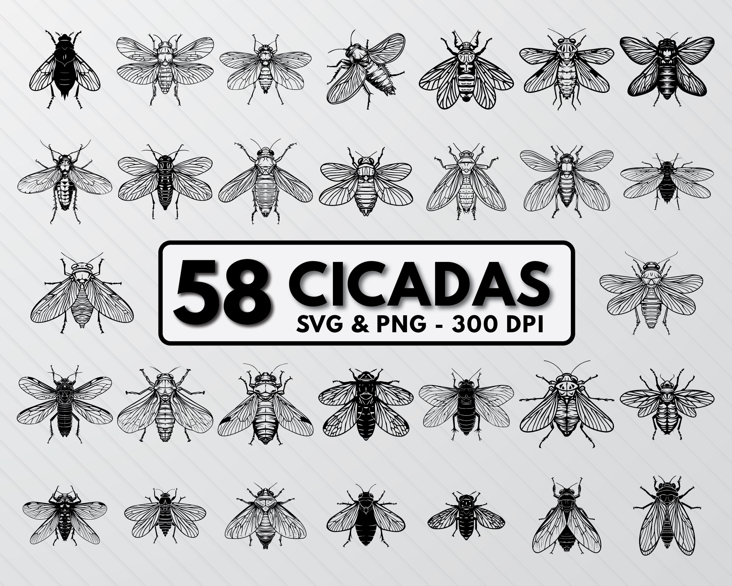 Cicada Silhouette SVG Bundle: Insect Clipart, Decal Vector (digital ...