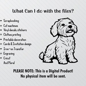 Schnoodle Dog Svg, Schnoodle Silhouette Svg, Dogs Clipart, Schnoodle ...