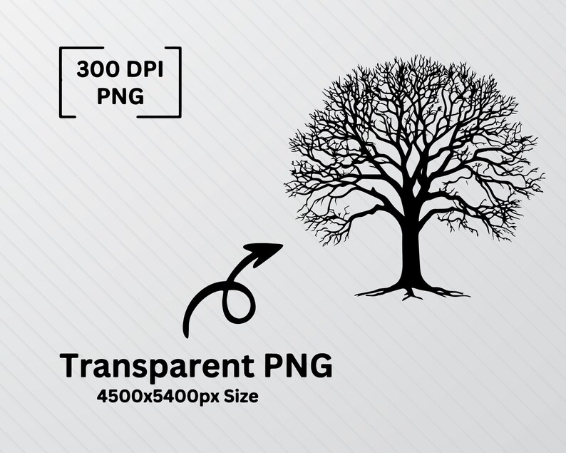 Oak Tree Silhouette SVG Bundle: Old Tree Scene, Bonsai Design (PNG ...