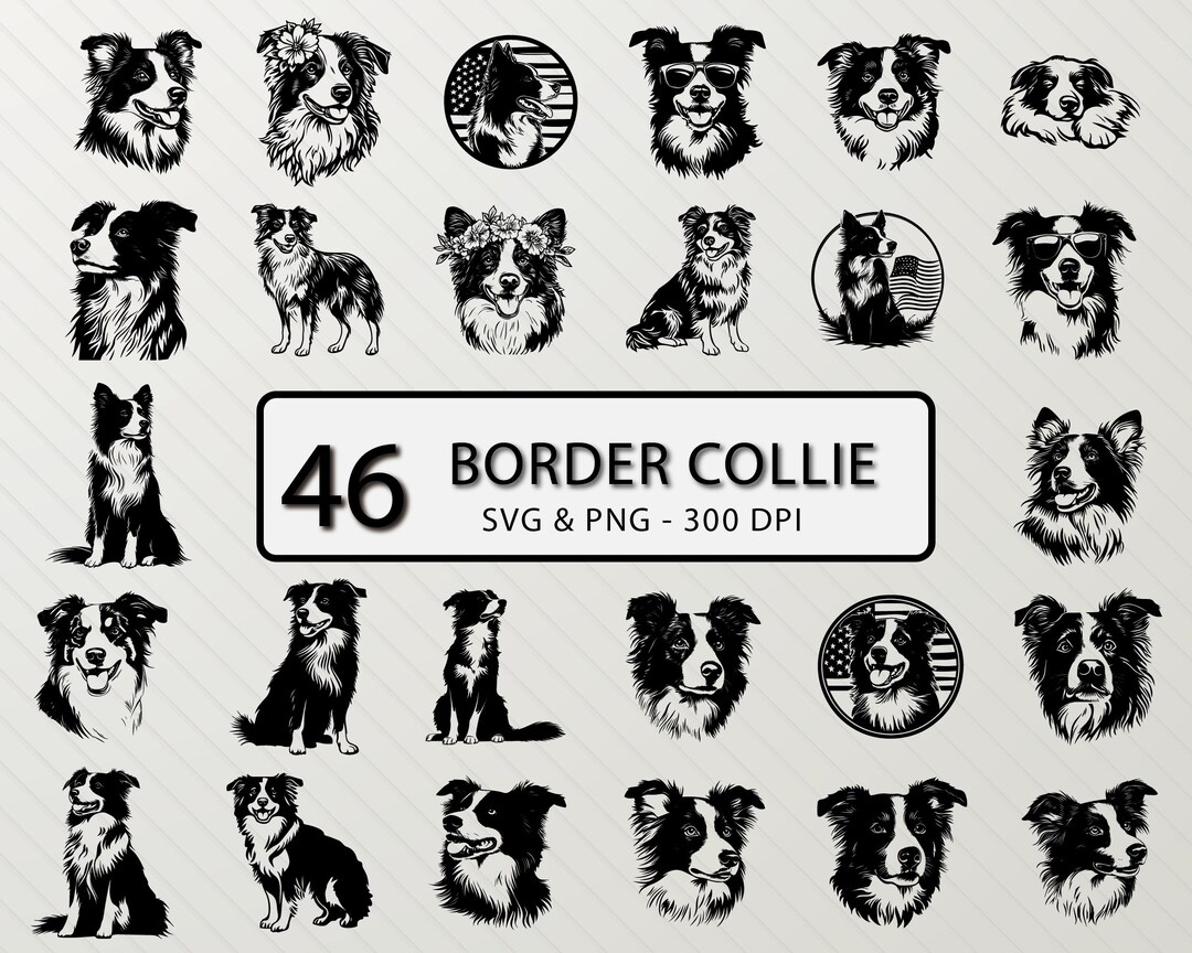 Border Collie Svg Silhouette, Border Collie Svg Bundle, Cute Dog Png ...