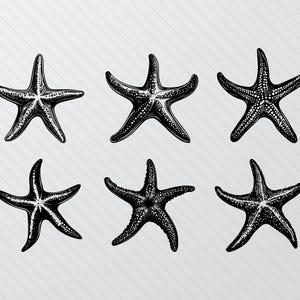 Starfish SVG Bundle: Sea Fish Clipart, Vector Cut Files - Etsy