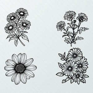 Aster Flower SVG: September Birth Flower Clipart (PNG, Vector) - Etsy