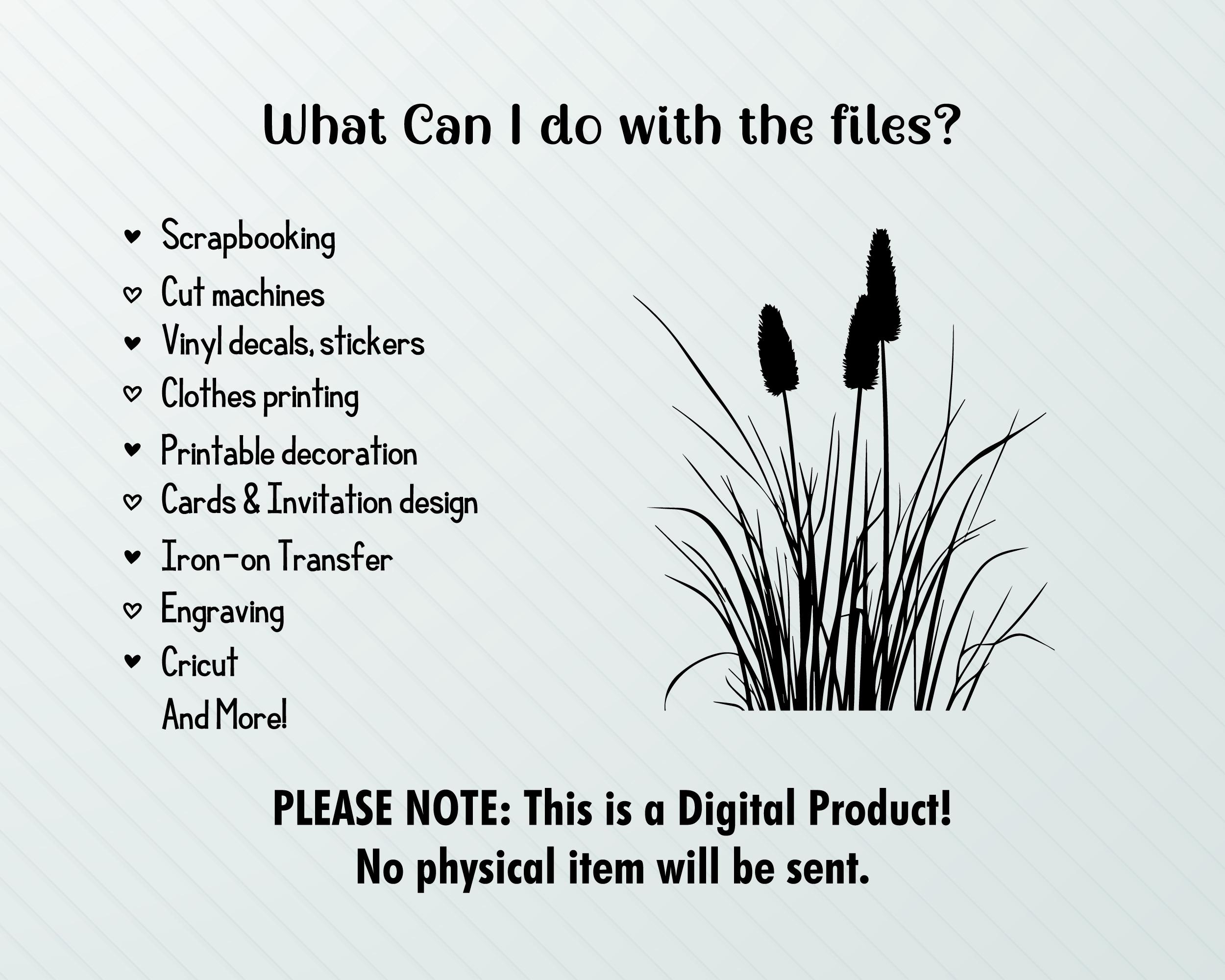 Cattail Clipart: Silhouette Vector Cut File (SVG, PNG) - Etsy