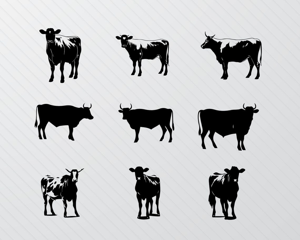 Cow Svg Bundle, Cows Silhouette, Cute Cow Clipart Png, Highland Cow ...