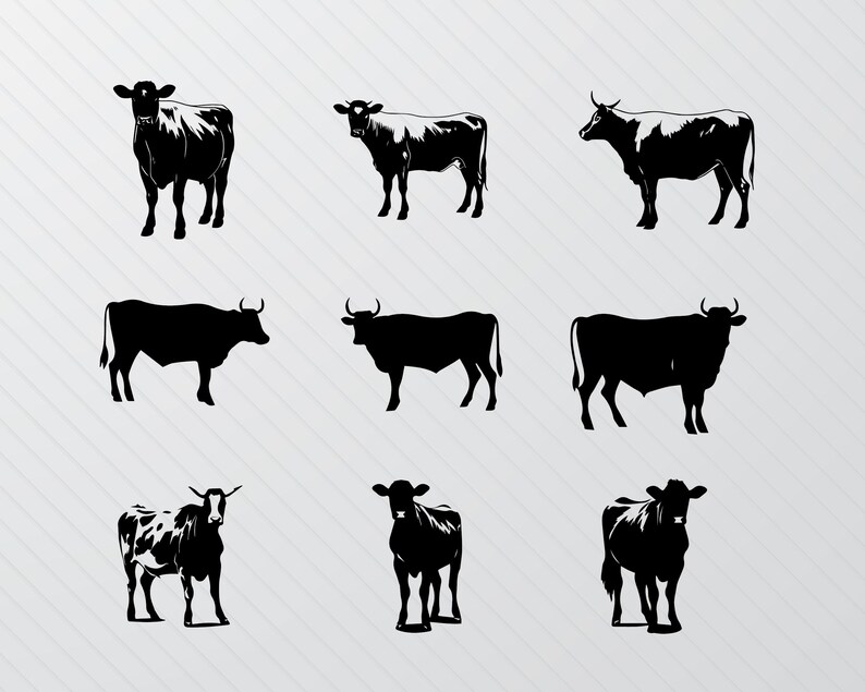 Cow Svg Bundle, Cows Silhouette, Cute Cow Clipart Png, Highland Cow ...