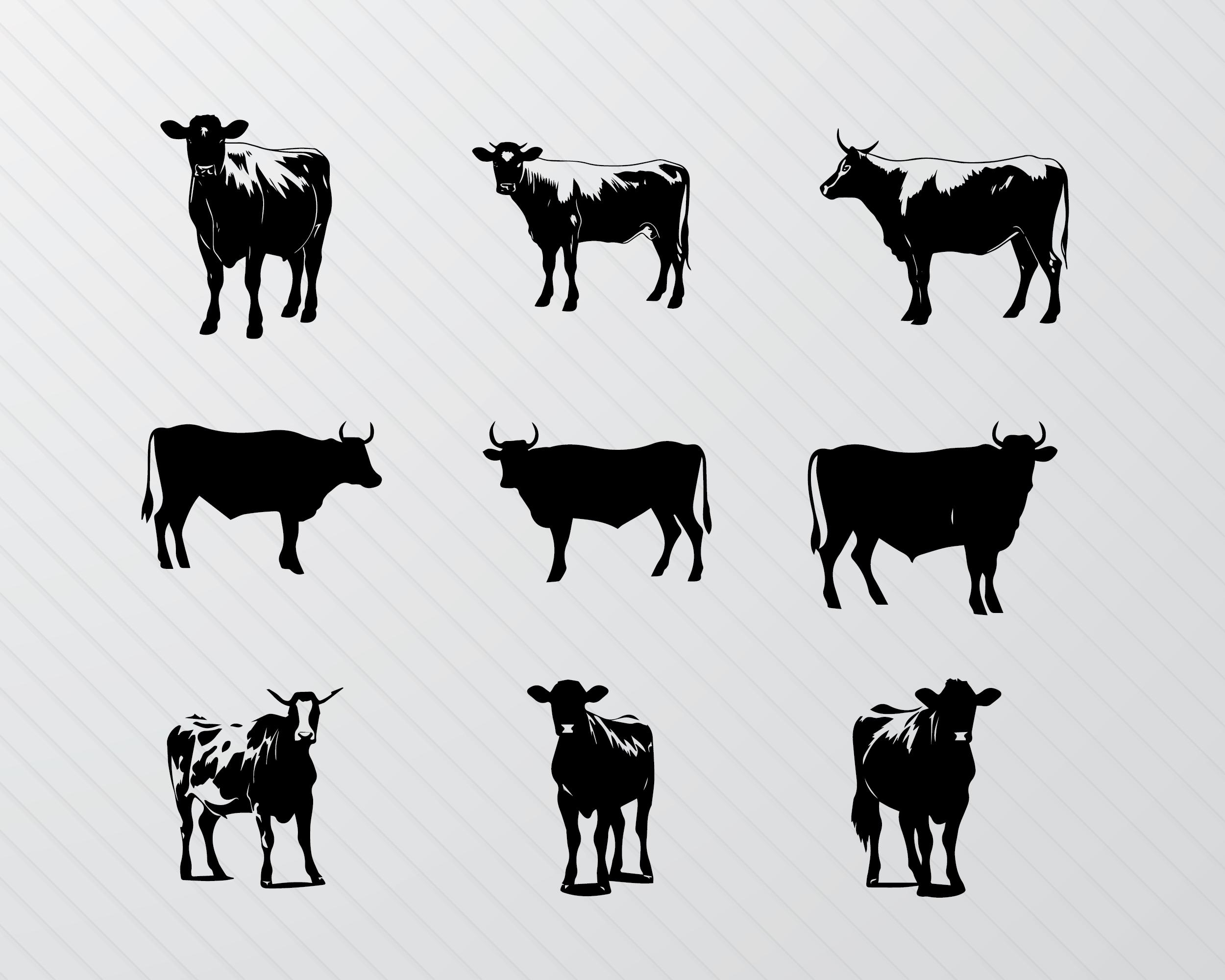 Cow Svg Bundle, Cows Silhouette, Cute Cow Clipart Png, Highland Cow ...
