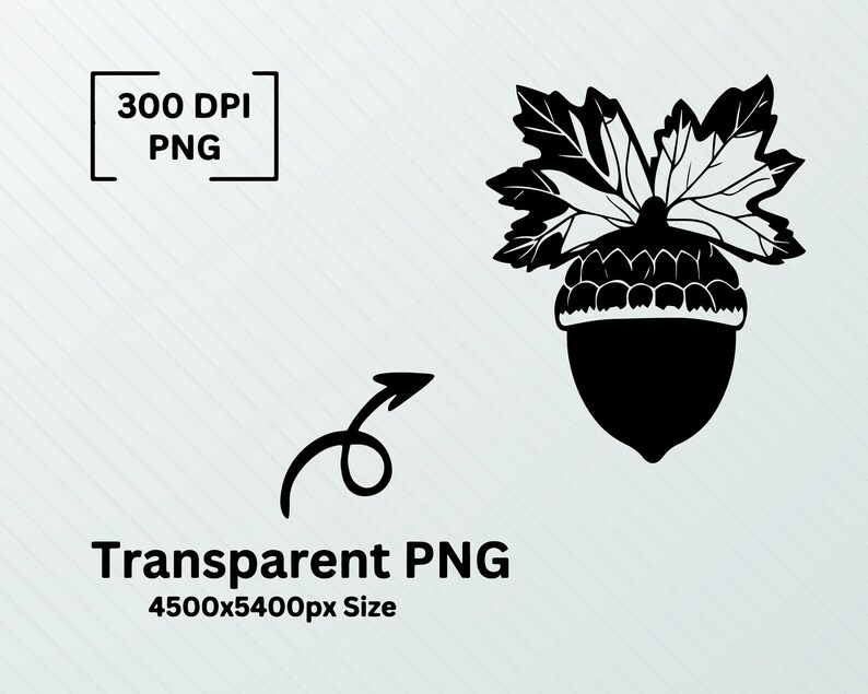 Acorn Svg Png, Acorn Clipart, Acorn Silhouette, Fruit Decal, Acorn ...