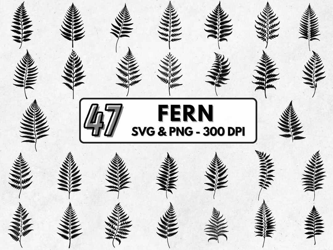 Ferns Svg Bundle, Fern Leaf Silhouette, Fern Leaves Clipart Png, Fern ...