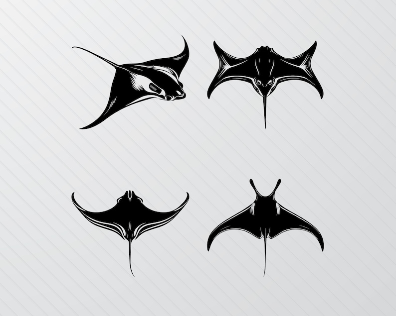 Manta Ray SVG Bundle: Silhouette Vector Png, Cricut Decal Cut File - Etsy