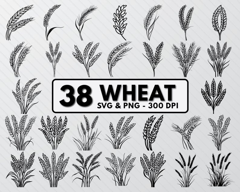 Wheat Silhouette SVG Bundle: Grain Stalk Clipart (PNG, Vector) - Etsy