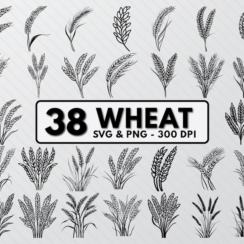 Wheat for Sign Svg - Etsy