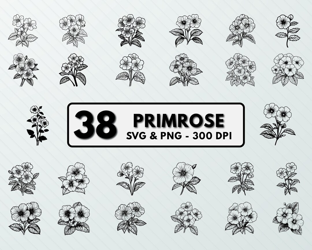 Primrose Flower Svg Png, Primrose Clipart, Floral Silhouette, Decal ...