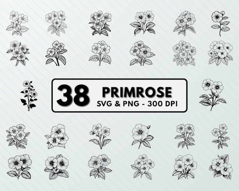 Primrose Flower Svg Png, Primrose Clipart, Floral Silhouette, Decal ...