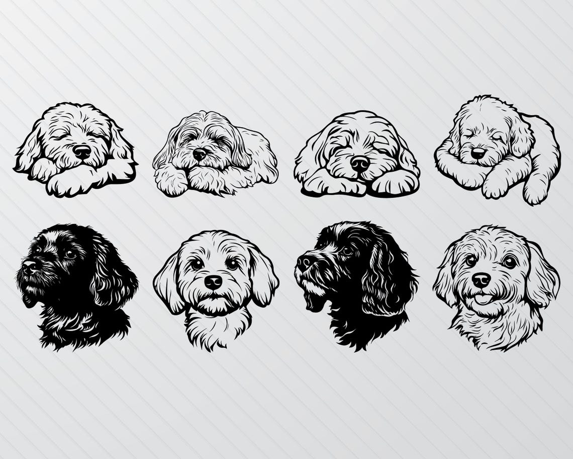 Cavapoo Dog Silhouette, Cavapoo Dogs Svg Bundle, Cadoodle Puppies Png ...