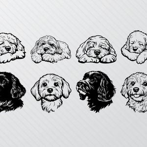 Cavapoo Dog Silhouette: SVG, PNG Clipart Bundle - Etsy