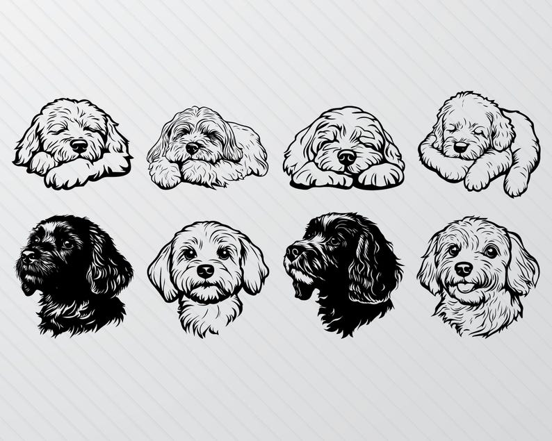 Cavapoo Dog Silhouette: SVG, PNG Clipart Bundle - Etsy