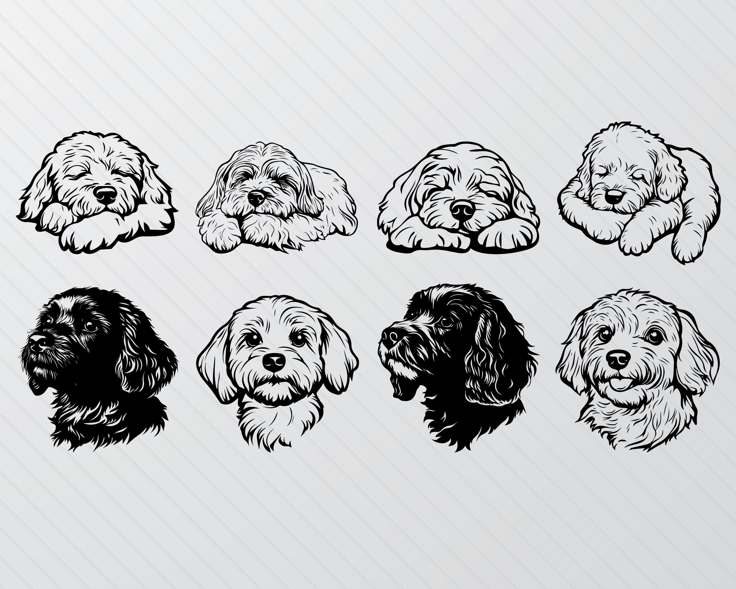 Cavapoo Dog Silhouette: SVG, PNG Clipart Bundle - Etsy