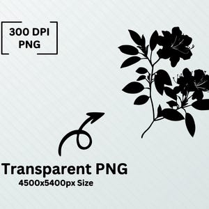 Azalea Svg Png Bundle, Azalea Silhouette, Azalea Clipart, Azalea Vector ...