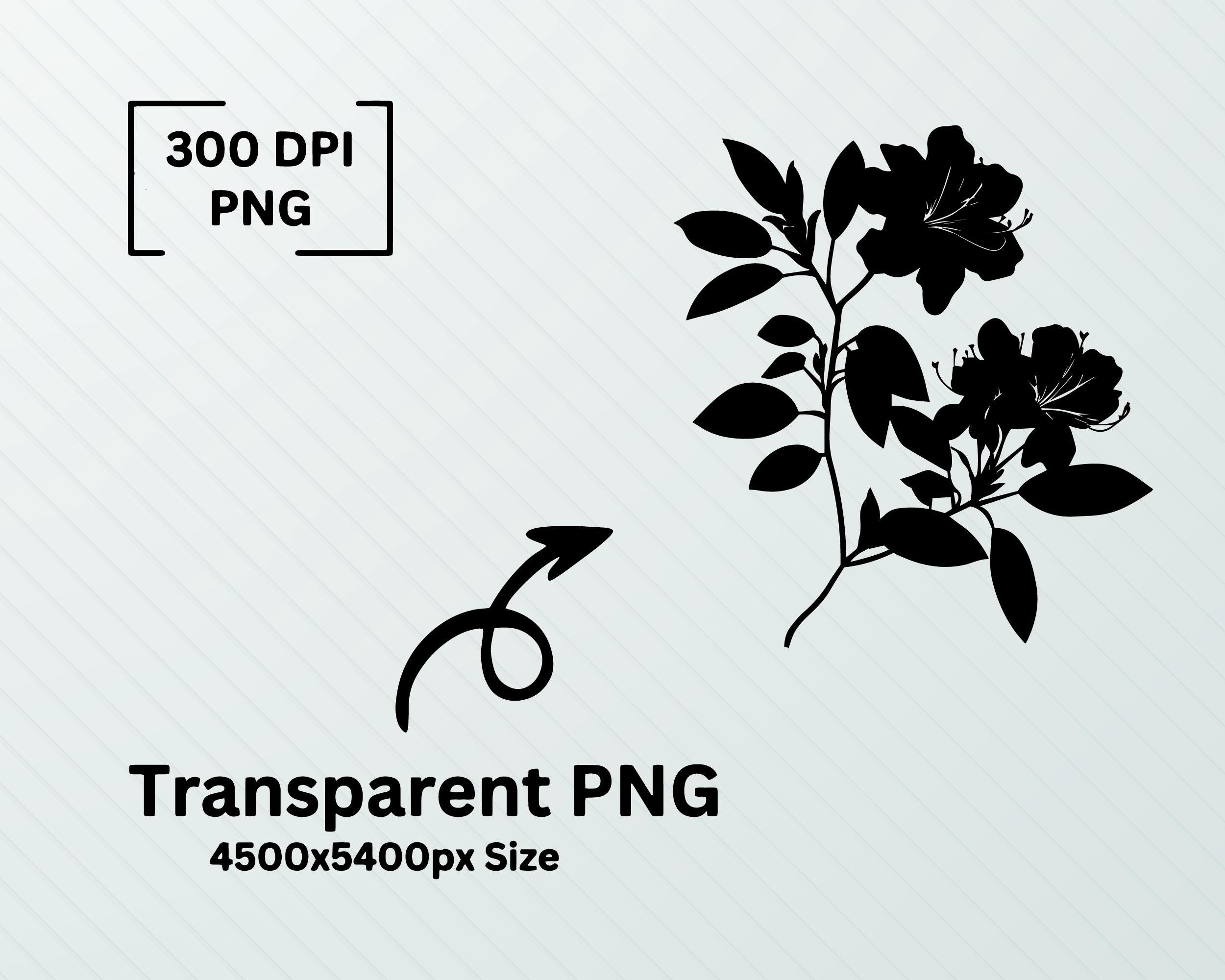 Azalea SVG PNG Bundle: Flower Outline Cut Files - Etsy