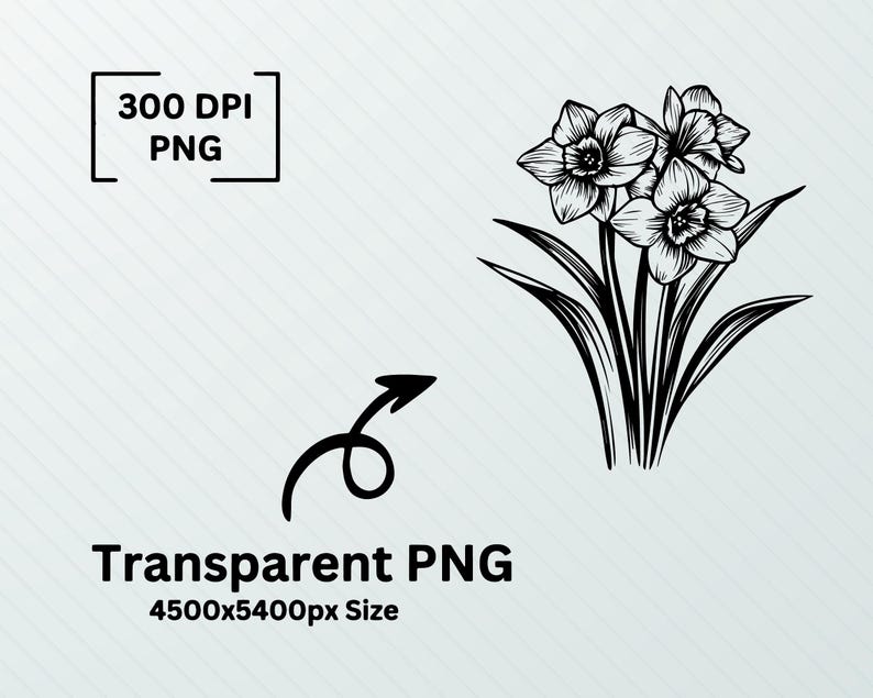 Narcissus Flower SVG: December Birth Flower Clipart (PNG, Vector) - Etsy