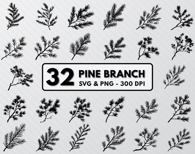 Pine Branch Svg, Pine Needles Svg, Pine Cone Svg, Pine Tree Svg, Fir ...