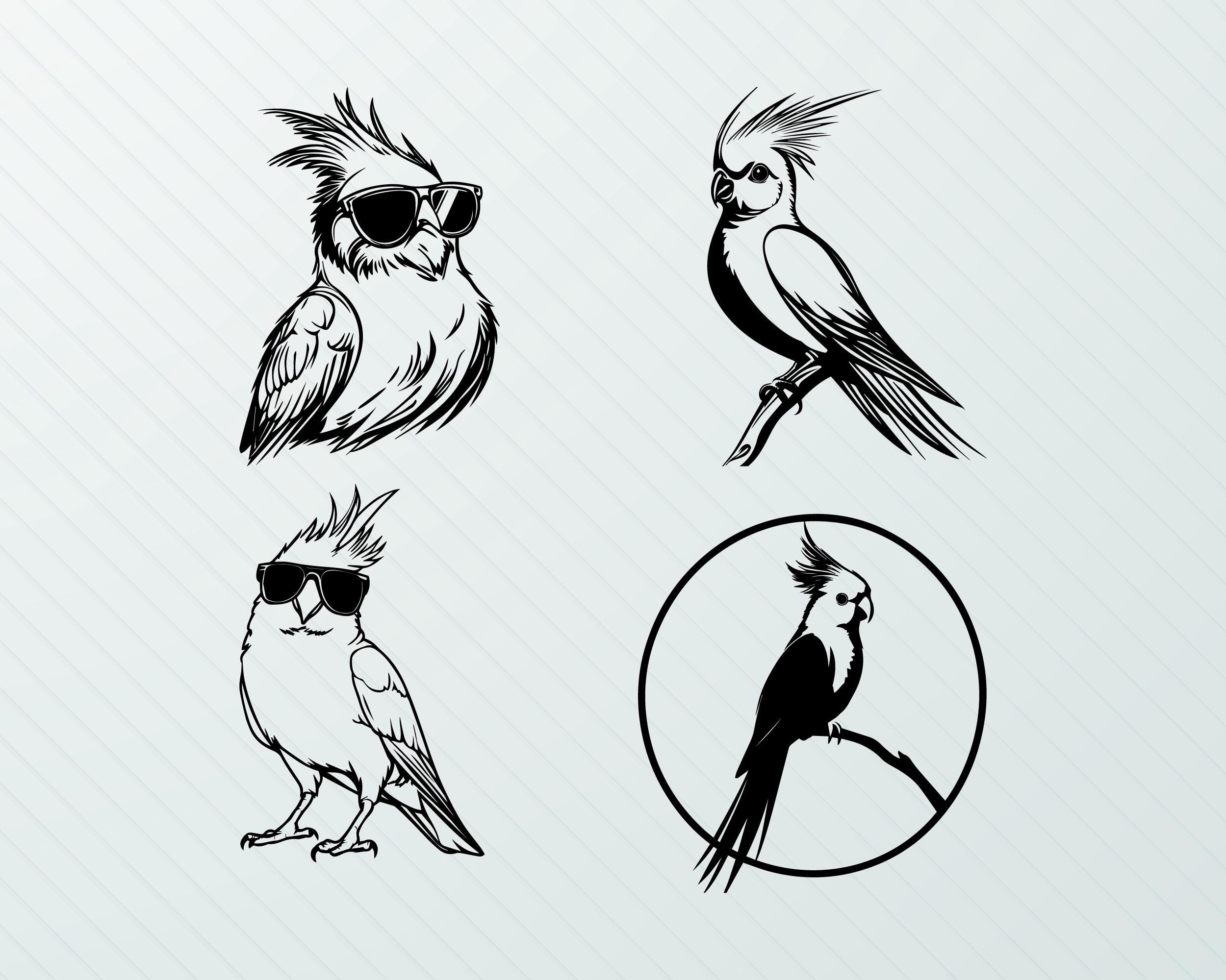 Cockatiel Svg Png, Cockatiel Clipart, Cockatiel Silhouette, Vector ...