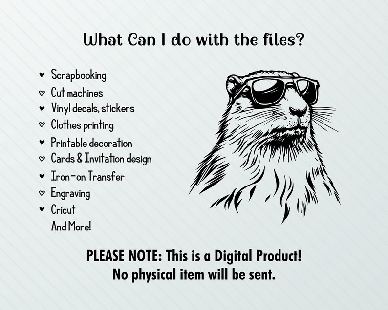 Groundhog SVG PNG Clipart: Vector Cut File Designs - Etsy
