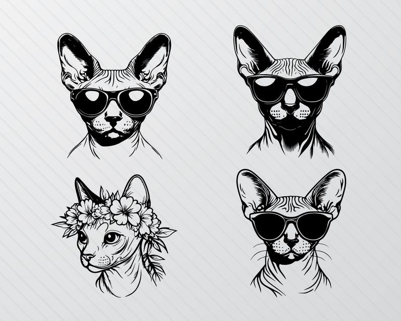 Sphynx Cat Svg Bundle, Sphynx Cat Silhouette, Cat Breed Svg Png Vector ...