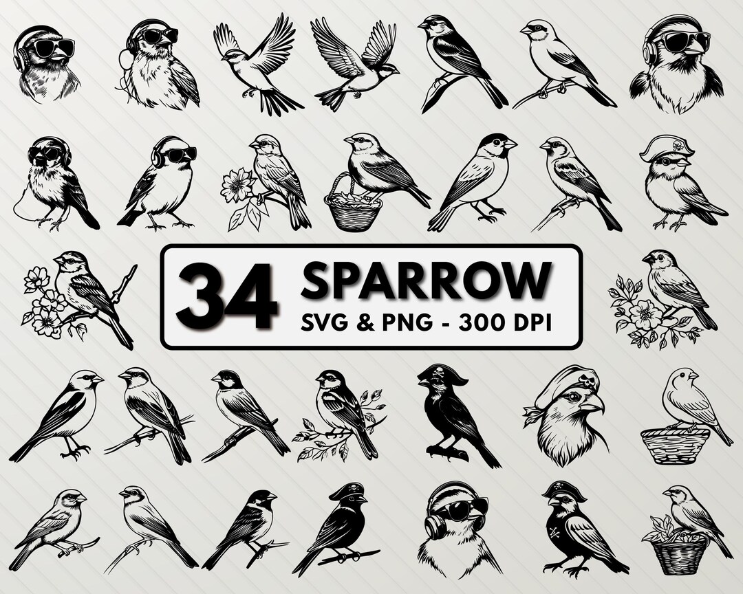 Sparrow Svg Bundle, Sparrow Silhouette, Sparrow Bird Line Art Svg ...