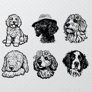 Bernedoodle Silhouette: Dog Breed Vector Art Bundle (SVG, PNG) - Etsy
