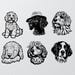 Bernedoodle Silhouette: Dog Breed Vector Art Bundle (SVG, PNG) - Etsy