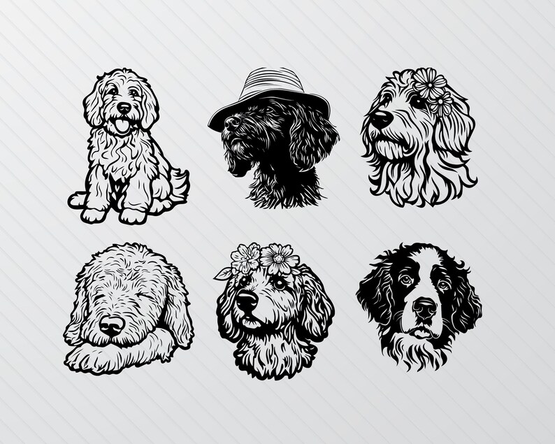 Bernedoodle Silhouette: Dog Breed Vector Art Bundle (SVG, PNG) - Etsy