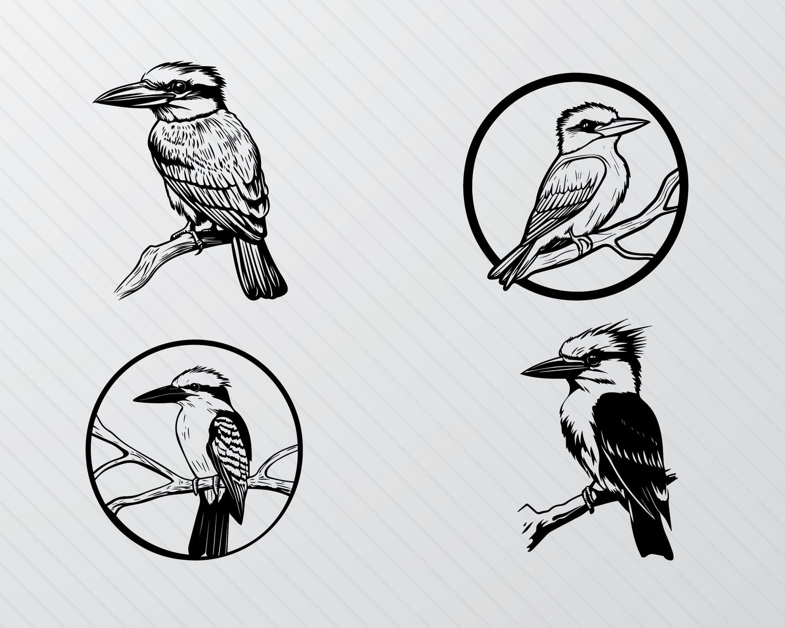 Kookaburra Svg Bundle, Kookaburra Silhouette Png, Australian Bird Svg ...