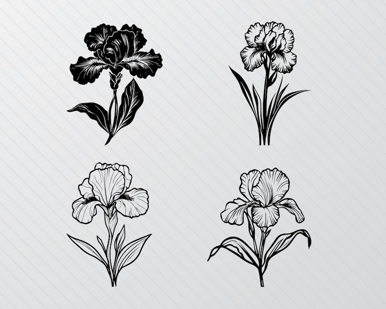 Iris Flower SVG Bundle: Floral Silhouette Vectors (digital Download) - Etsy