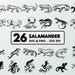 High Quality Salamander SVG, Salamander SVG, Salamander PNG, Salamander ...