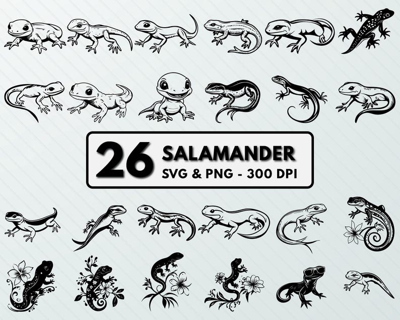 High Quality Salamander SVG, Salamander SVG, Salamander PNG, Salamander ...