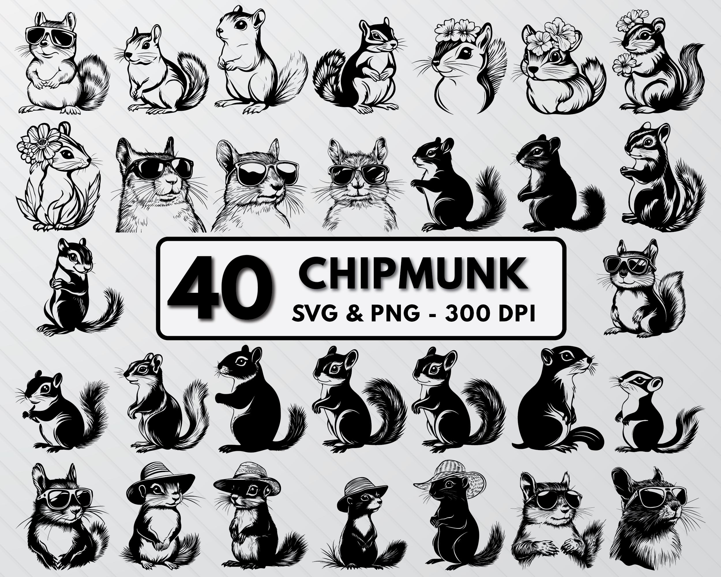 Chipmunk Silhouette SVG Bundle: Vector Art, Clipart, Decal (PNG) - Etsy