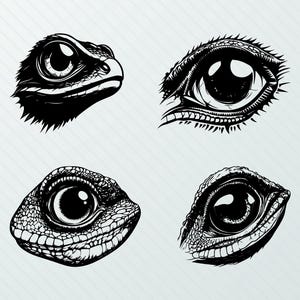 Lizard Eye Clipart: SVG, PNG, Vector Art (300 DPI) - Etsy