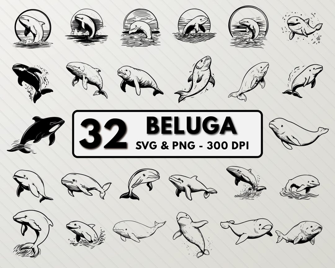 Beluga Svg Bundle, Beluga Silhouette, White Whale Svg Vector Decal ...