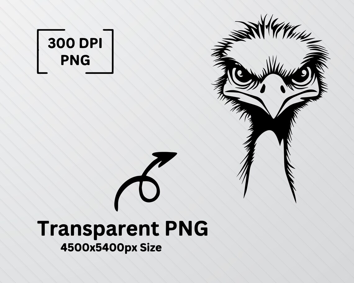 Emu Svg Cut Files, Australian Emu Silhouette Png, Emu Vector Art, Emu ...