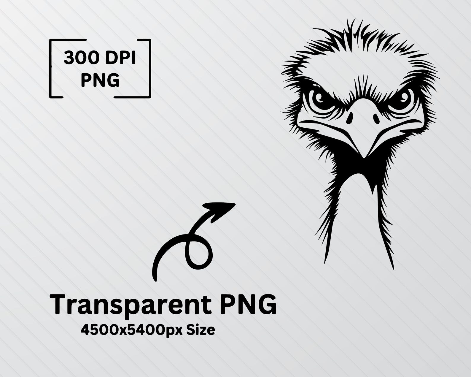 Emu Svg Cut Files, Australian Emu Silhouette Png, Emu Vector Art, Emu ...