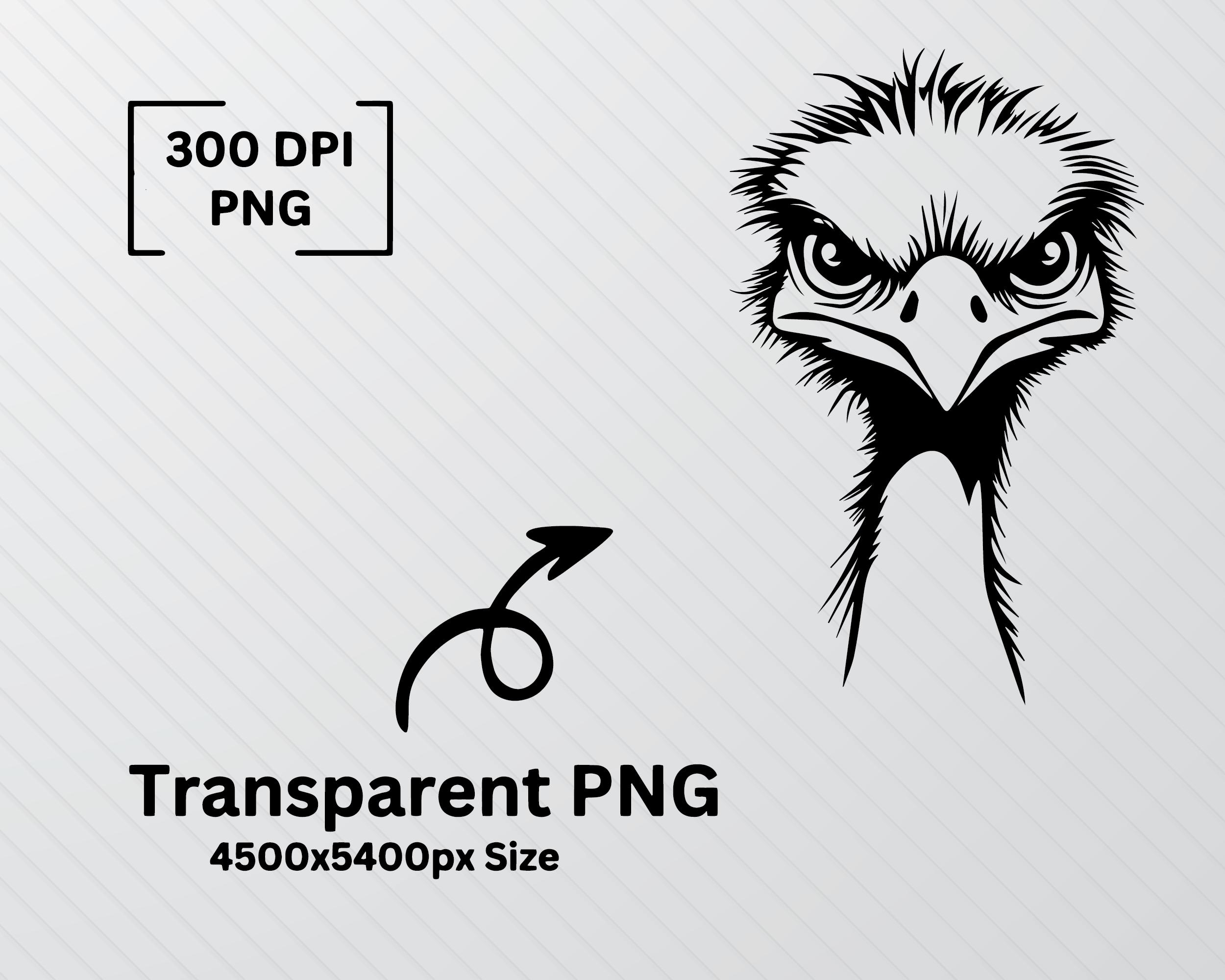 Emu Svg Cut Files, Australian Emu Silhouette Png, Emu Vector Art, Emu ...