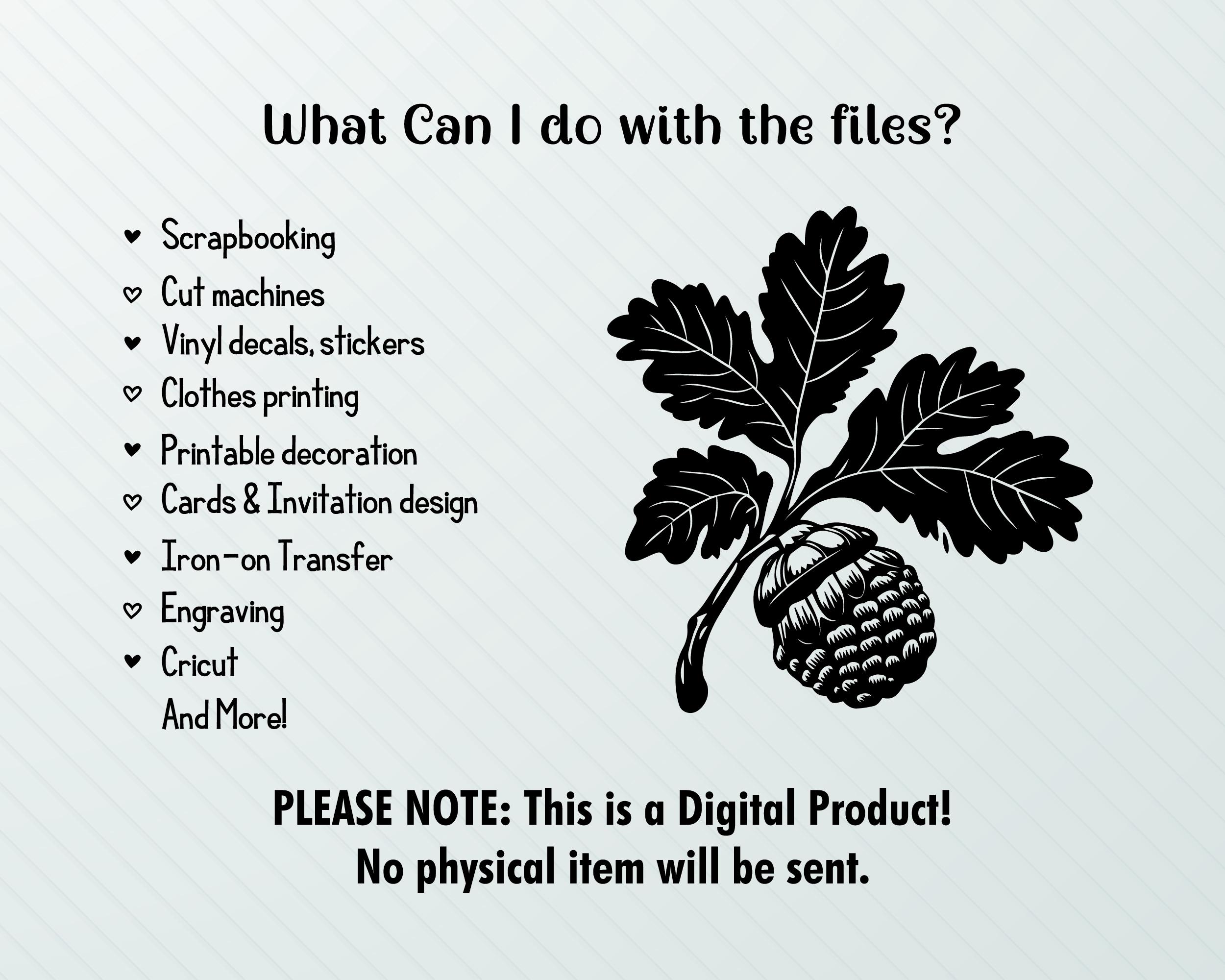 Acorn Svg Png, Acorn Clipart, Acorn Silhouette, Fruit Decal, Acorn ...