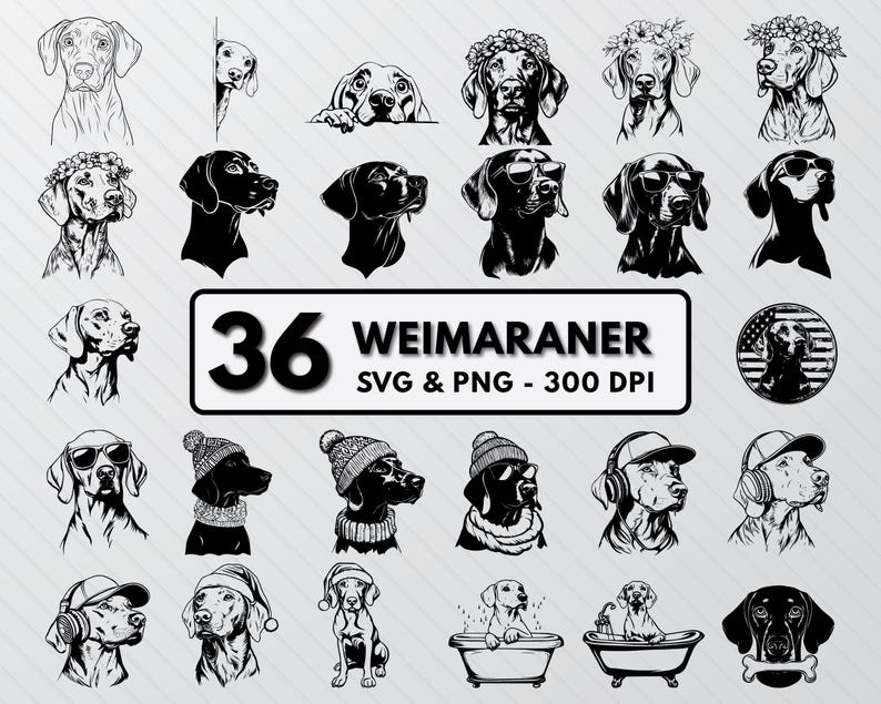 Weimaraner Svg Bundle, Weimaraner Dog Silhouette, Weimaraner Png Decal ...